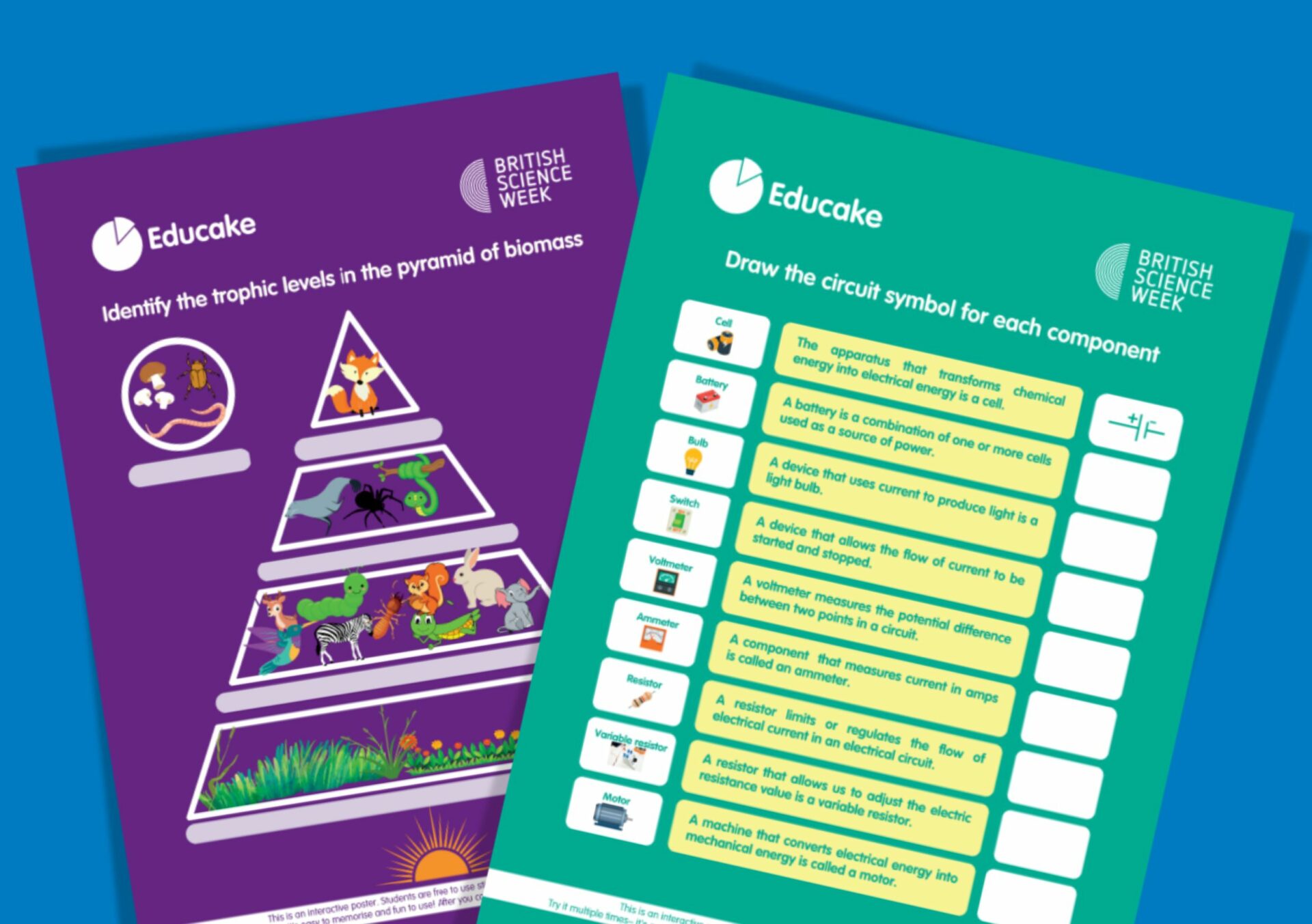 British Science Week Free Interactive Posters Educake 8202